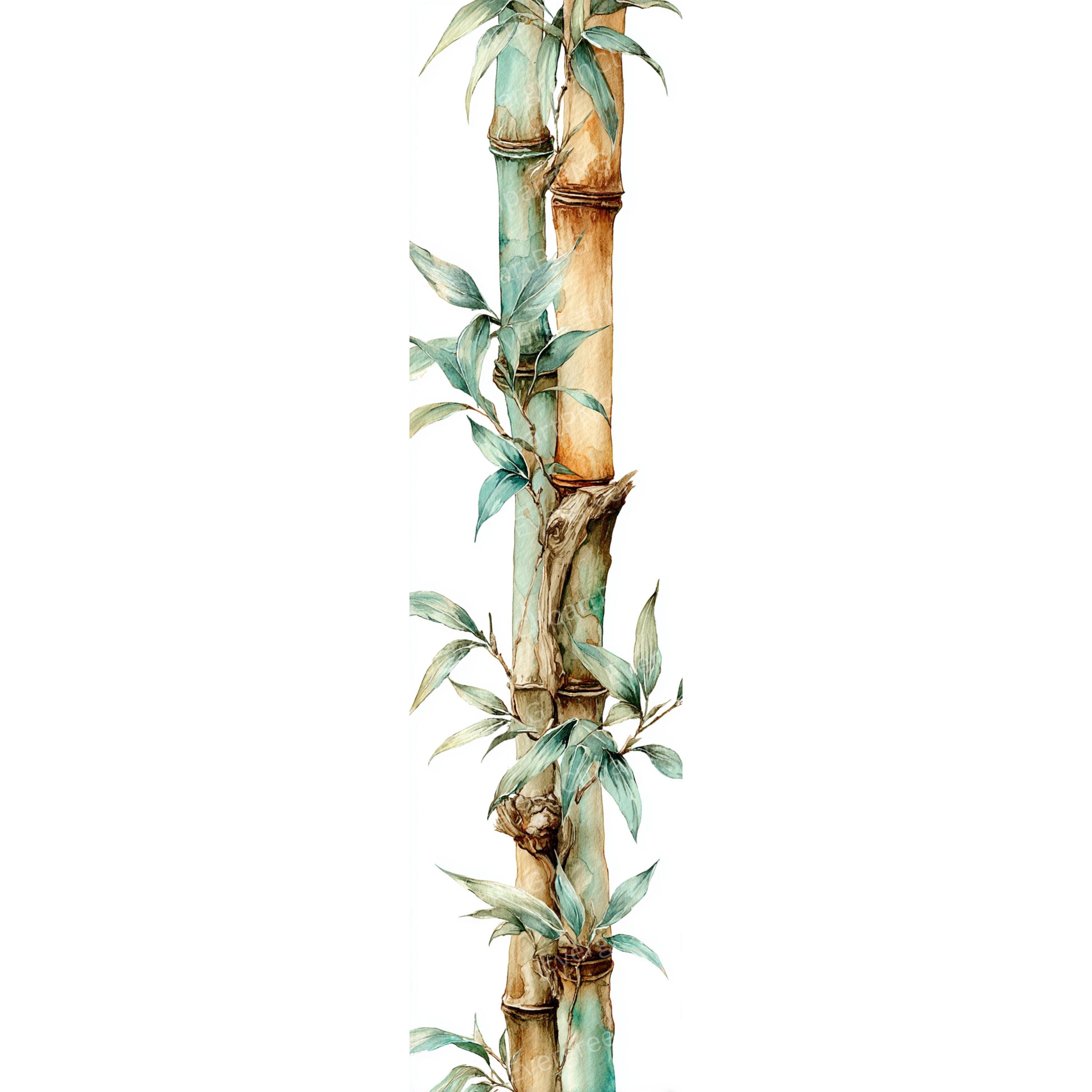 Watercolor Bamboo Border Clipart: Zen Asian Frame Elements (PNG Digital ...