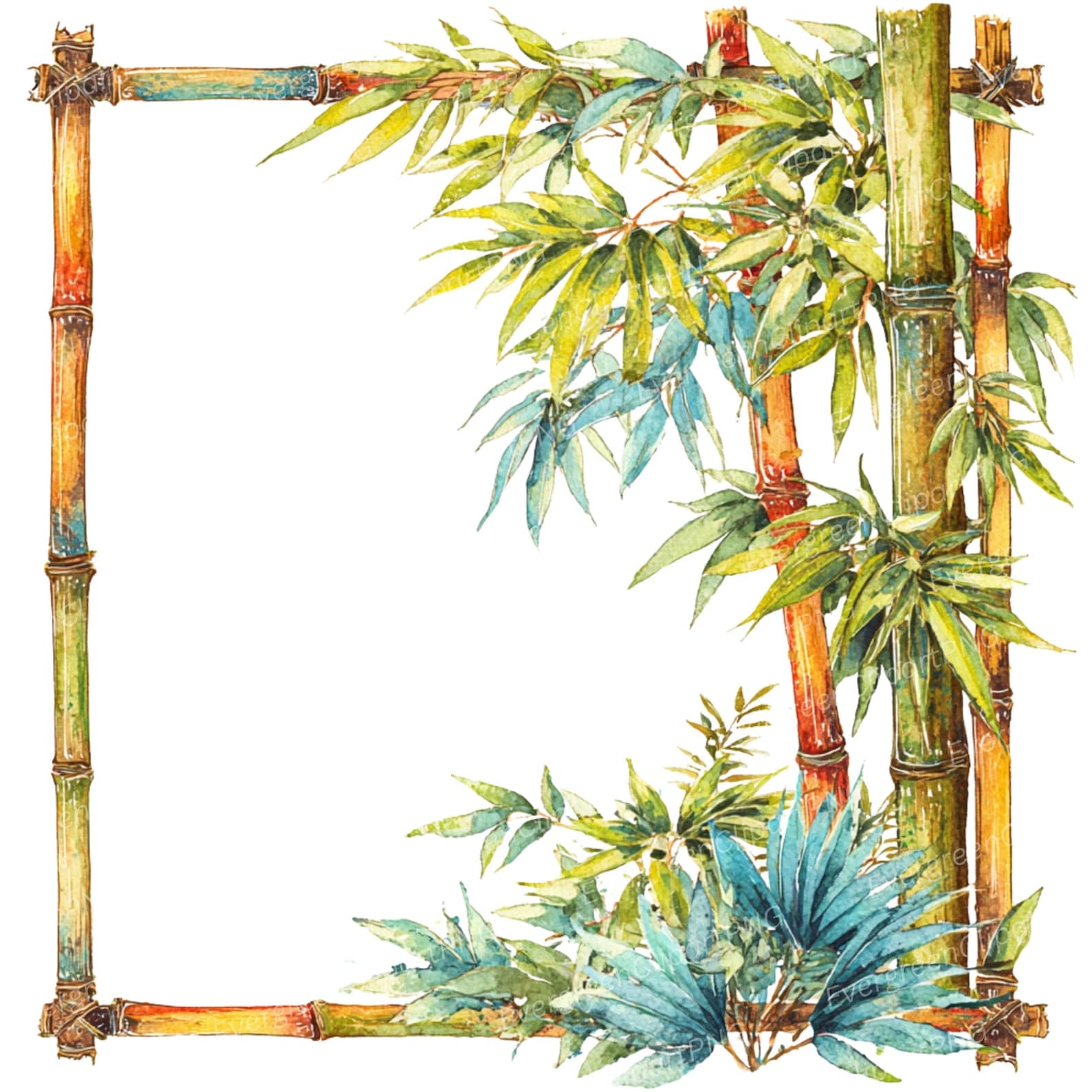 10 PNG Bamboo Frame Clipart, Watercolor Bamboo Borders & Tropical ...