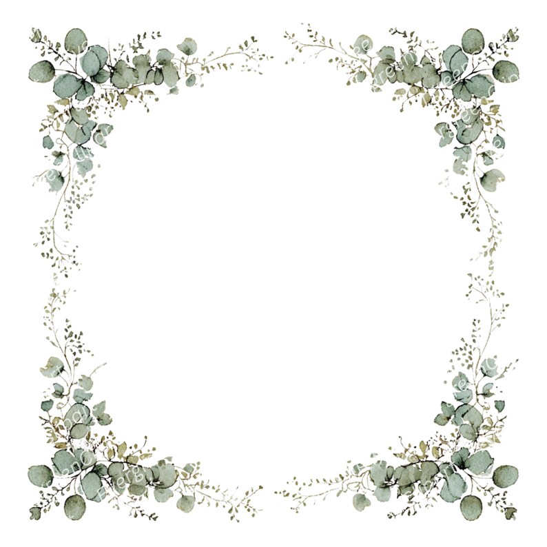 Watercolor Eucalyptus Frames | Green Botanical PNG Borders (digital ...