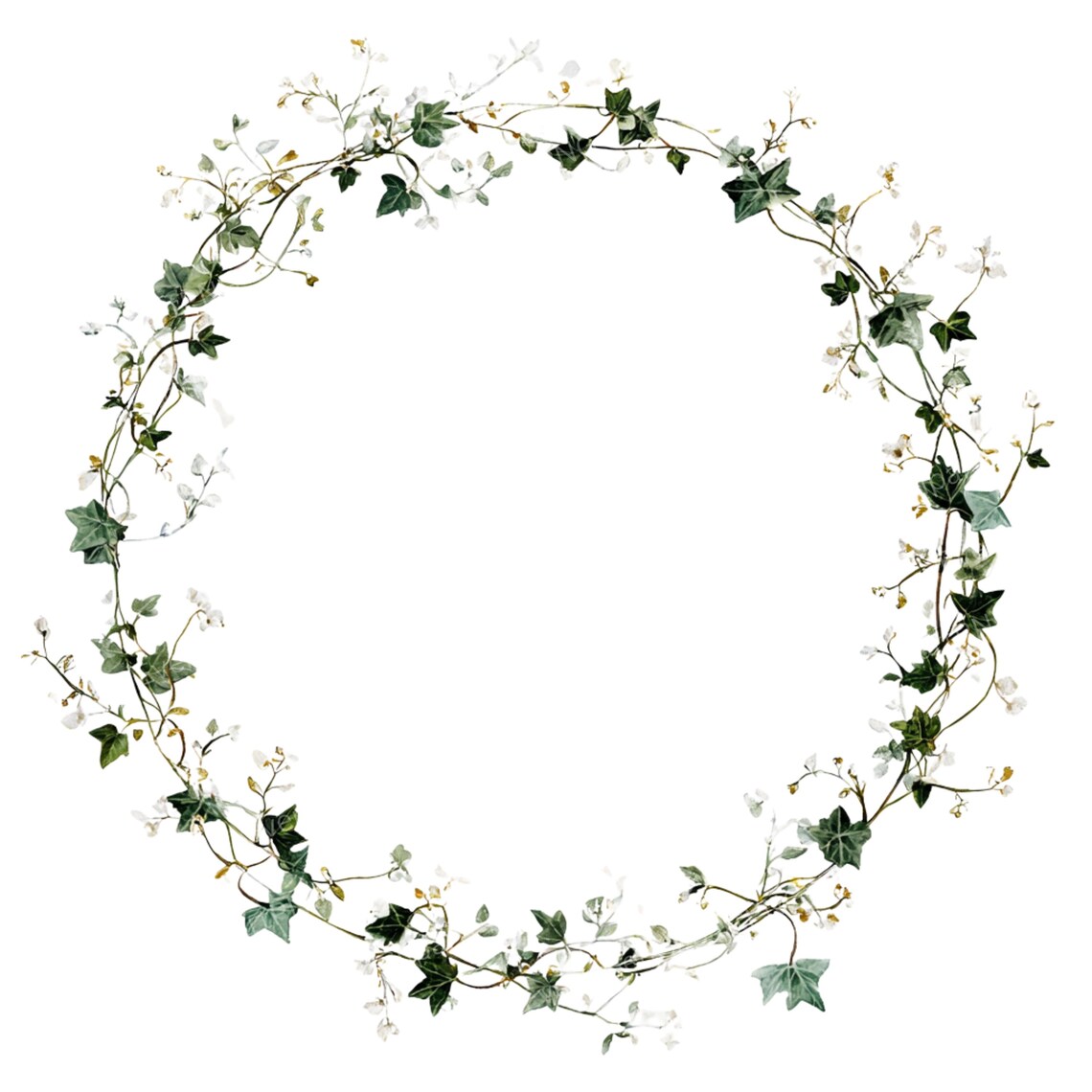 Watercolor Ivy Wreath Clipart: Botanical Circle Frames (digital ...