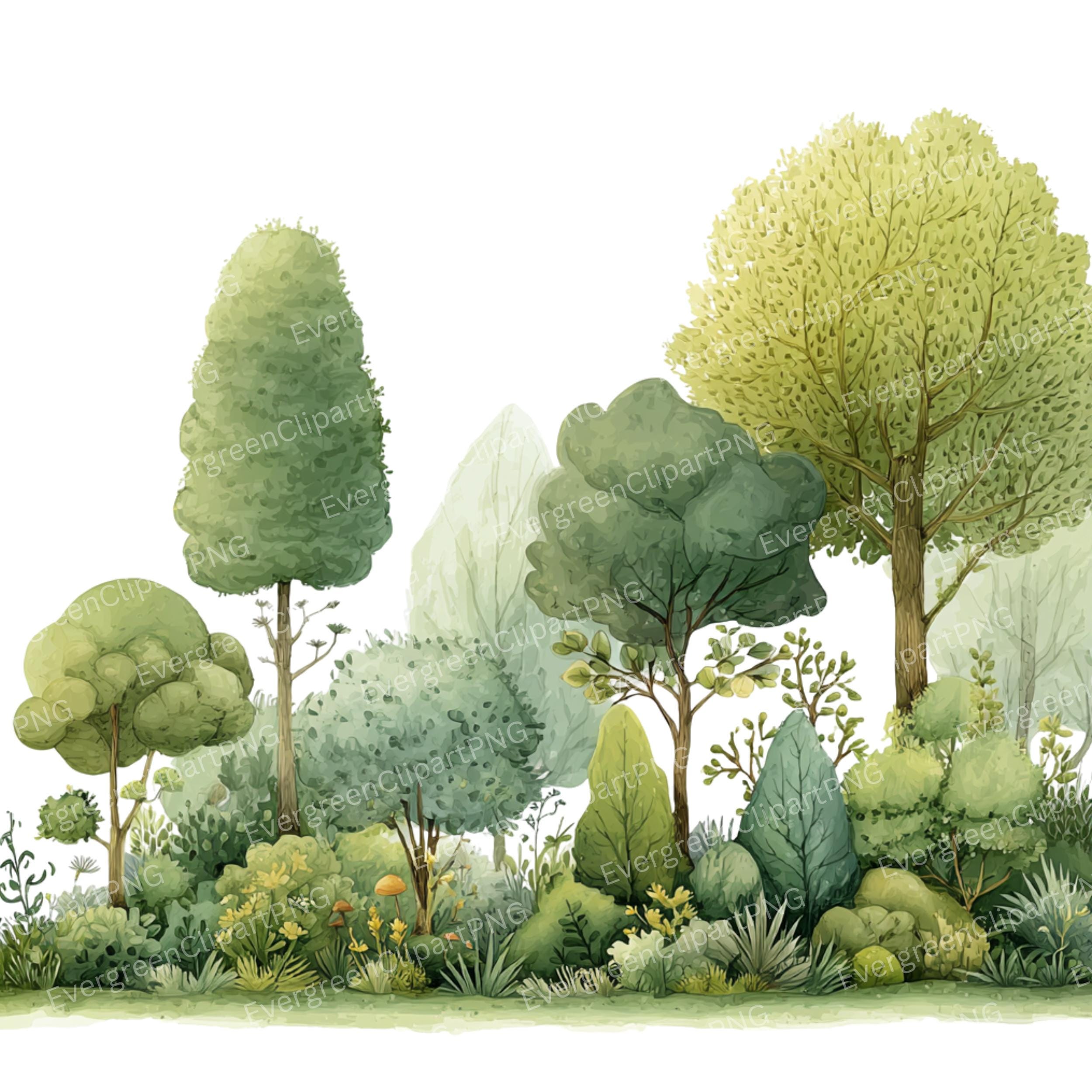 12 Watercolor Forest Tree Clipart Border: Woodland Greenery PNG ...