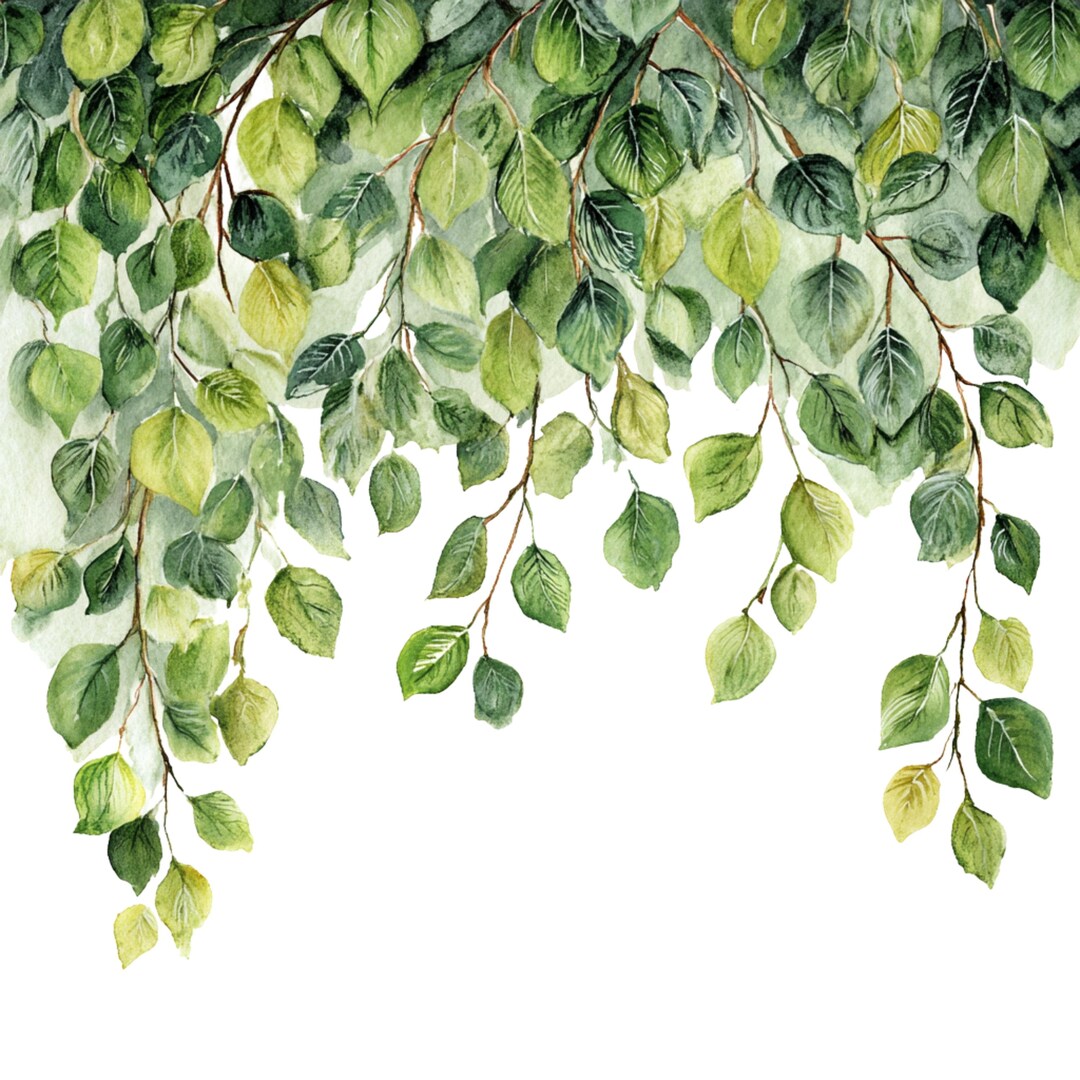 Watercolor Green Leaves Clipart: Botanical PNG & JPG (digital Download ...