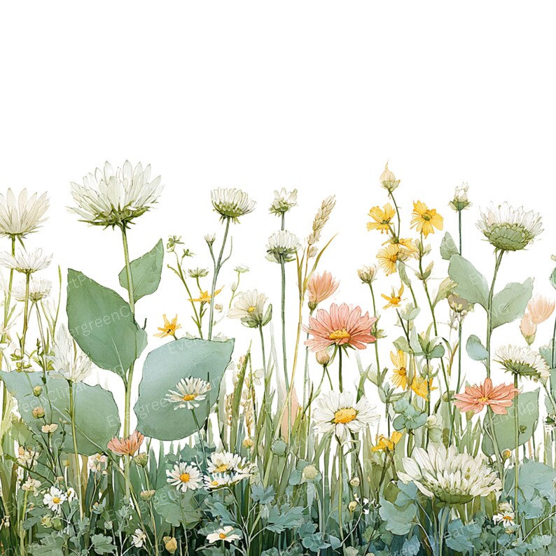 Watercolor Meadow Flowers Clipart: Spring Floral PNG (digital Download ...