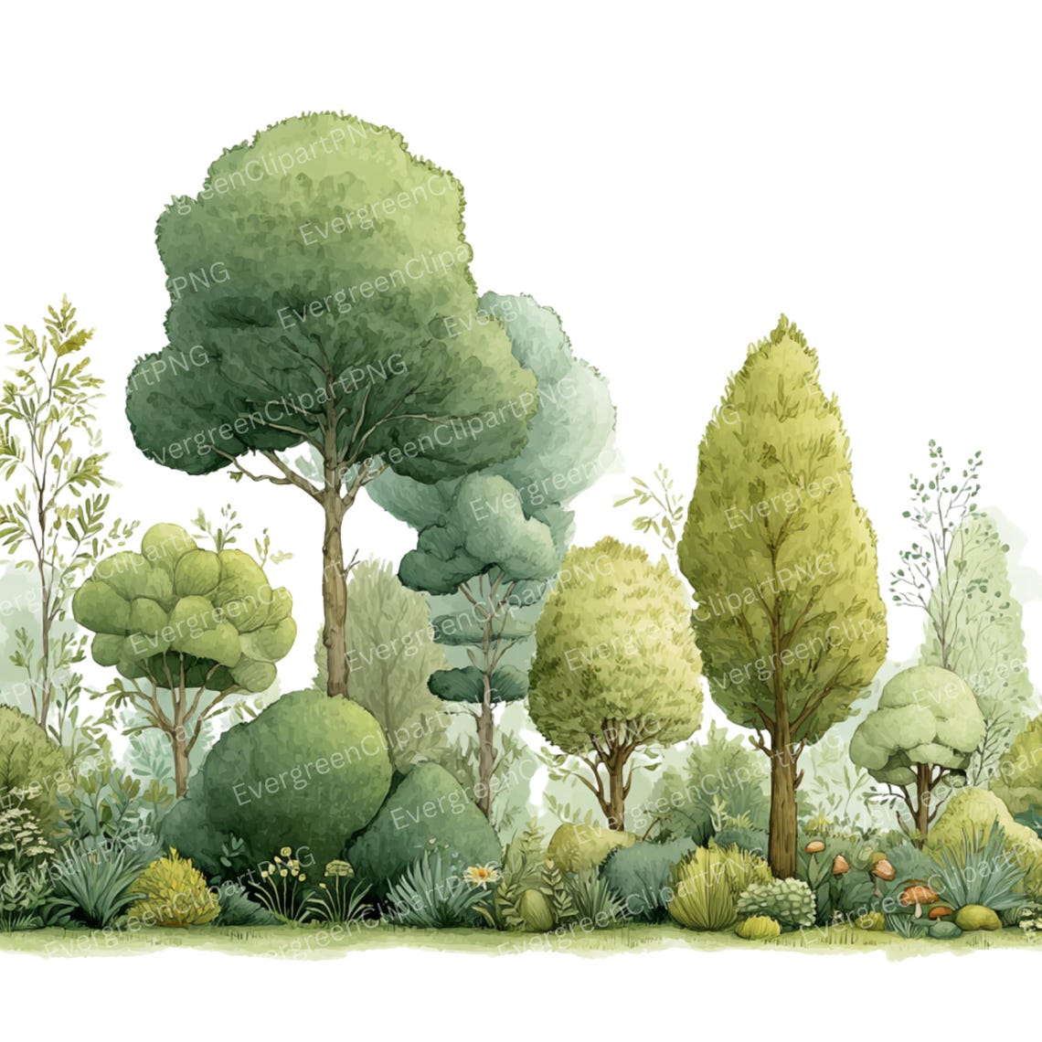 12 Watercolor Forest Tree Clipart Border: Woodland Greenery PNG ...
