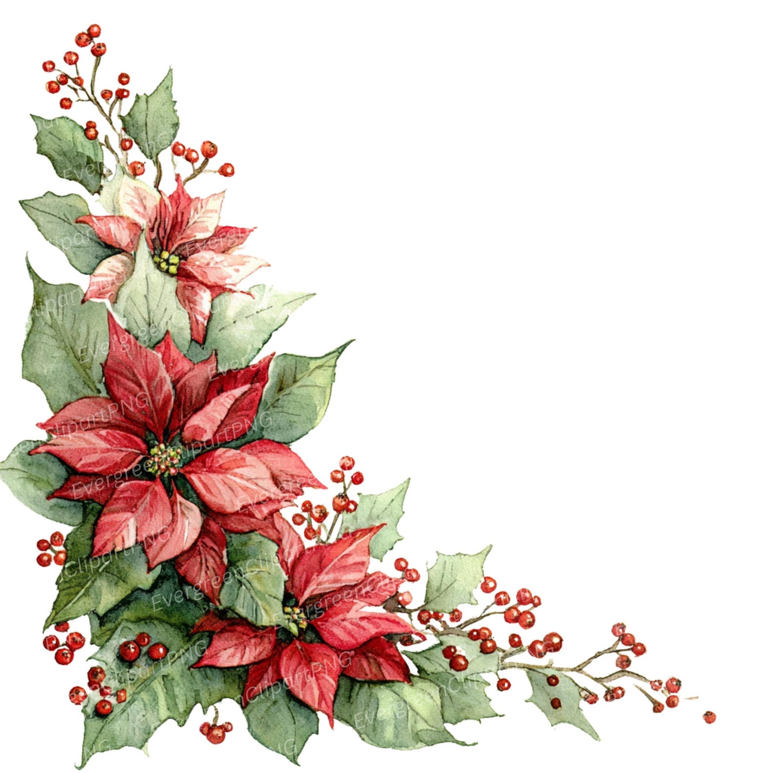 9 Watercolor Poinsettia Christmas Borders: Red & Green Holiday Frames ...