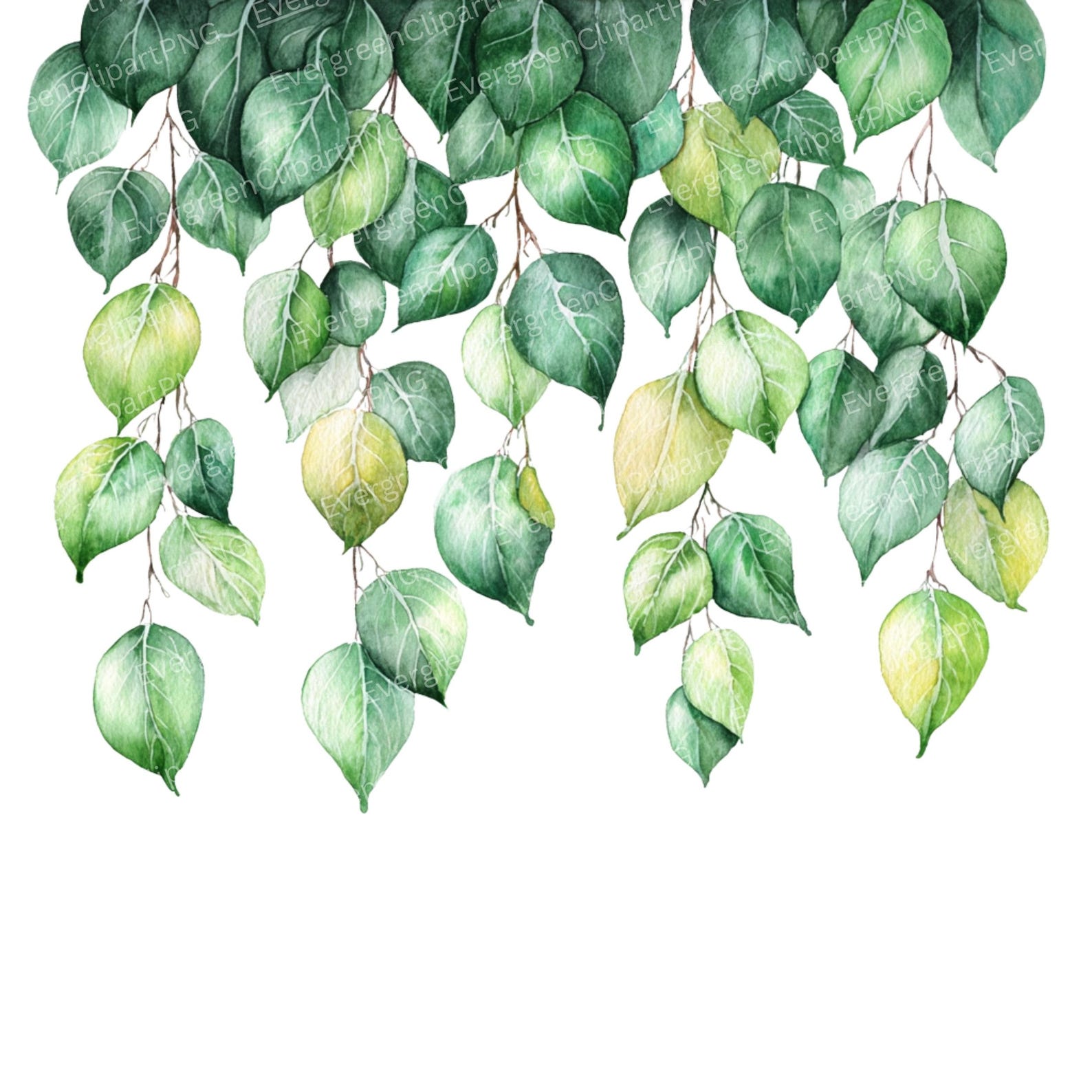 Watercolor Green Leaves Clipart: Botanical Wedding Invitation Pngs ...