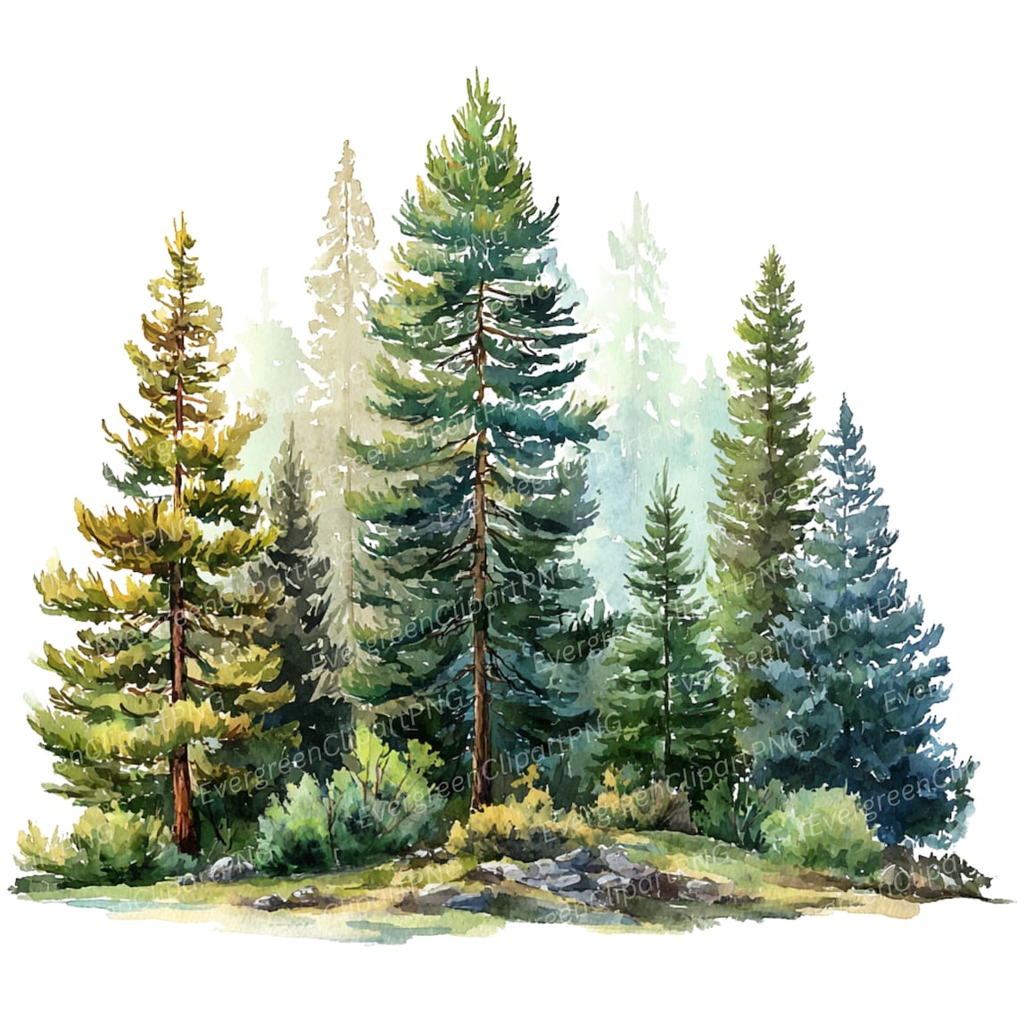 Watercolor Forest Clipart PNG: Green Trees, Woodland Scrapbooking ...