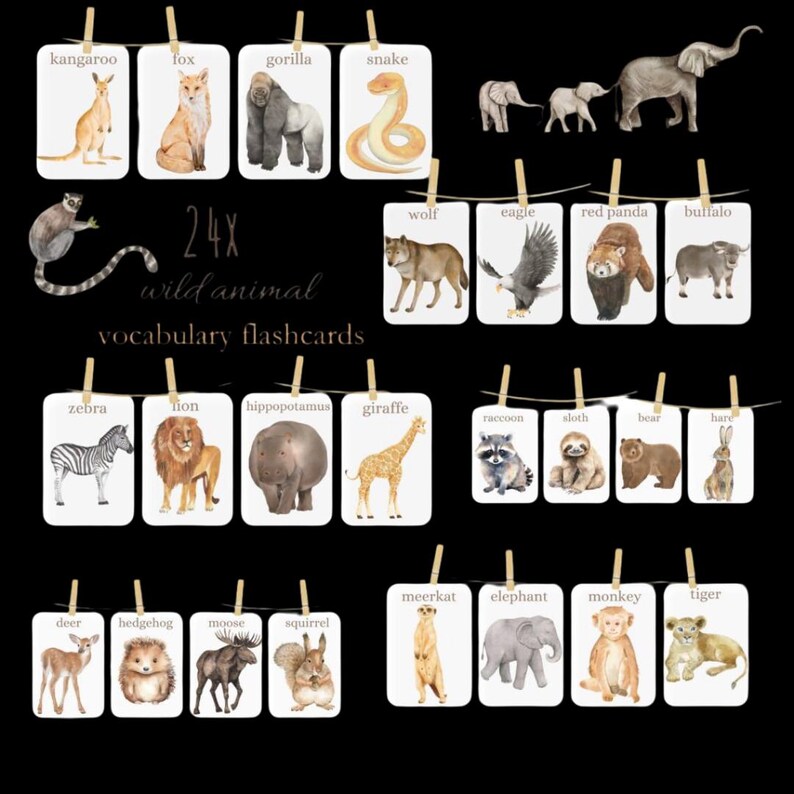 24 Wild Animals Flashcards - Etsy