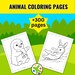 Massive Animal Coloring Pages Bundle for Kids – 500+ Fun Printable ...