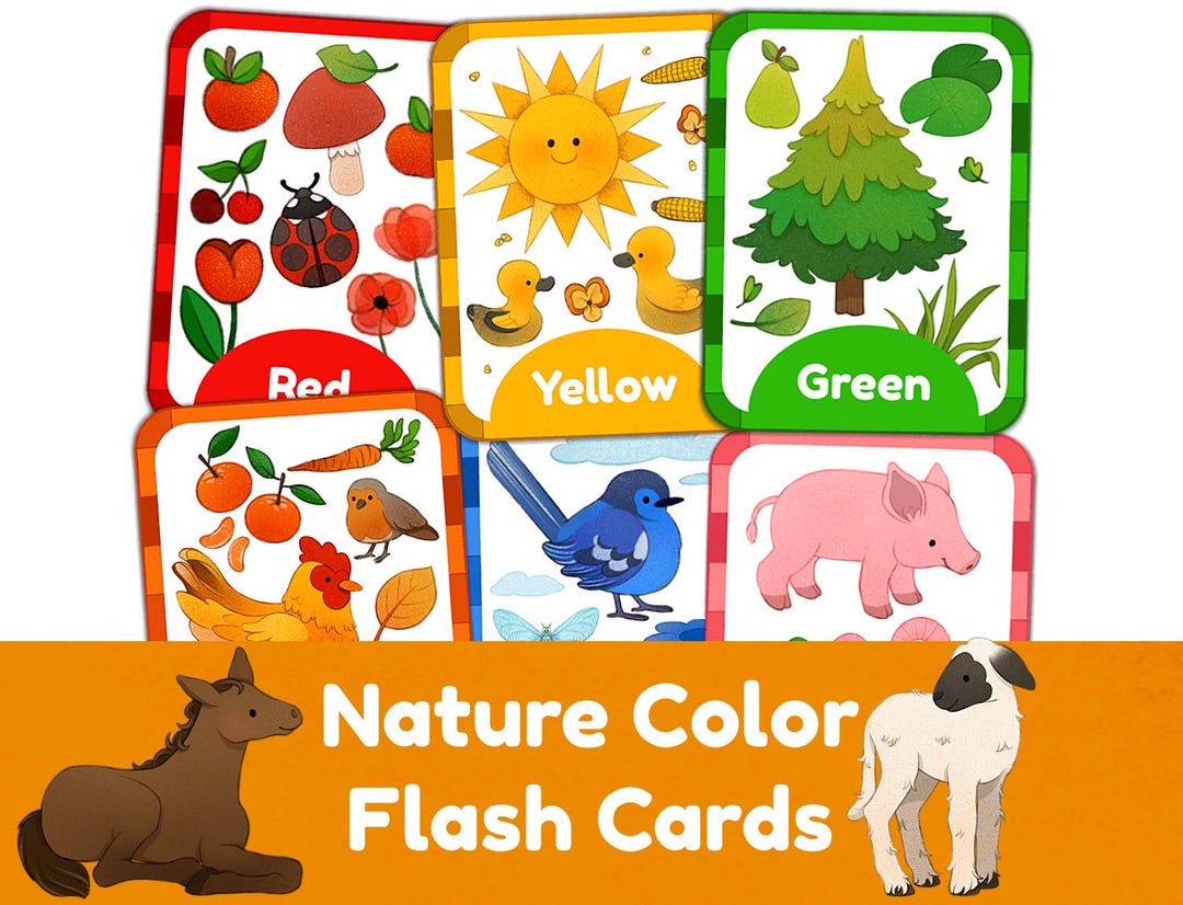 Nature Color Flashcards for Kids – Animal Color Flash Cards, Toddler ...