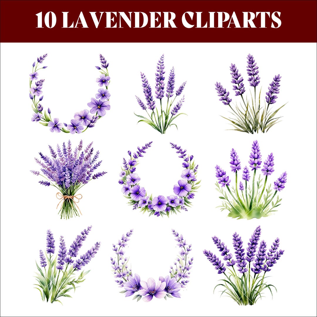 Lavender Clipart PNG, Watercolor Lavender Bundle, Floral Bouquets ...