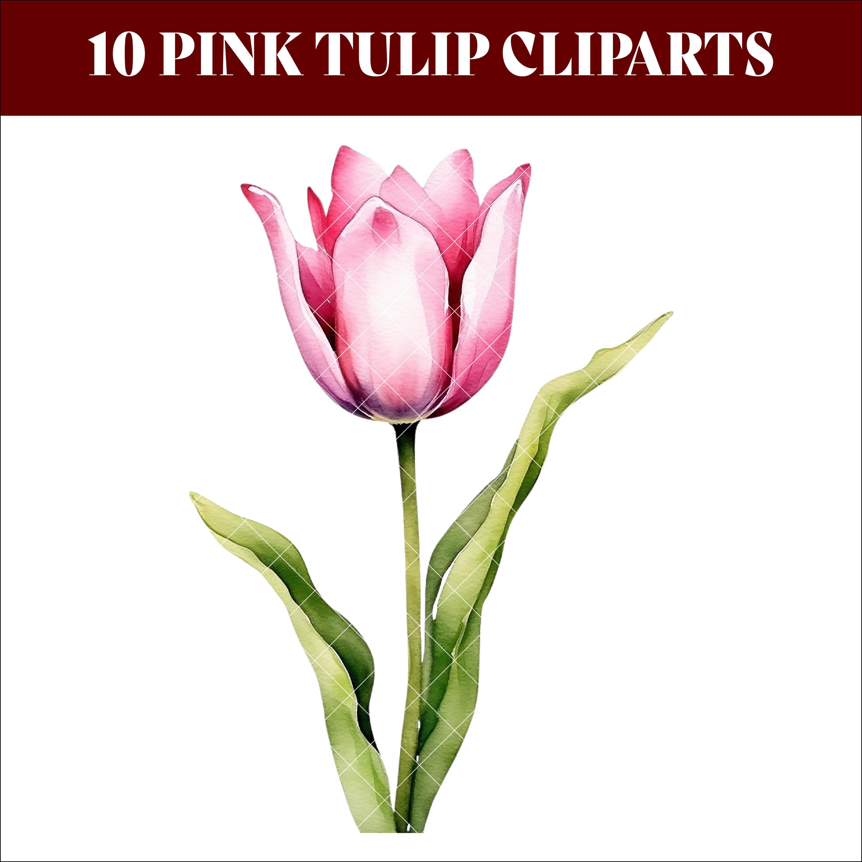 Pink Tulip Clipart PNG, Watercolor Pink Tulips Bundle, Floral Bouquets ...