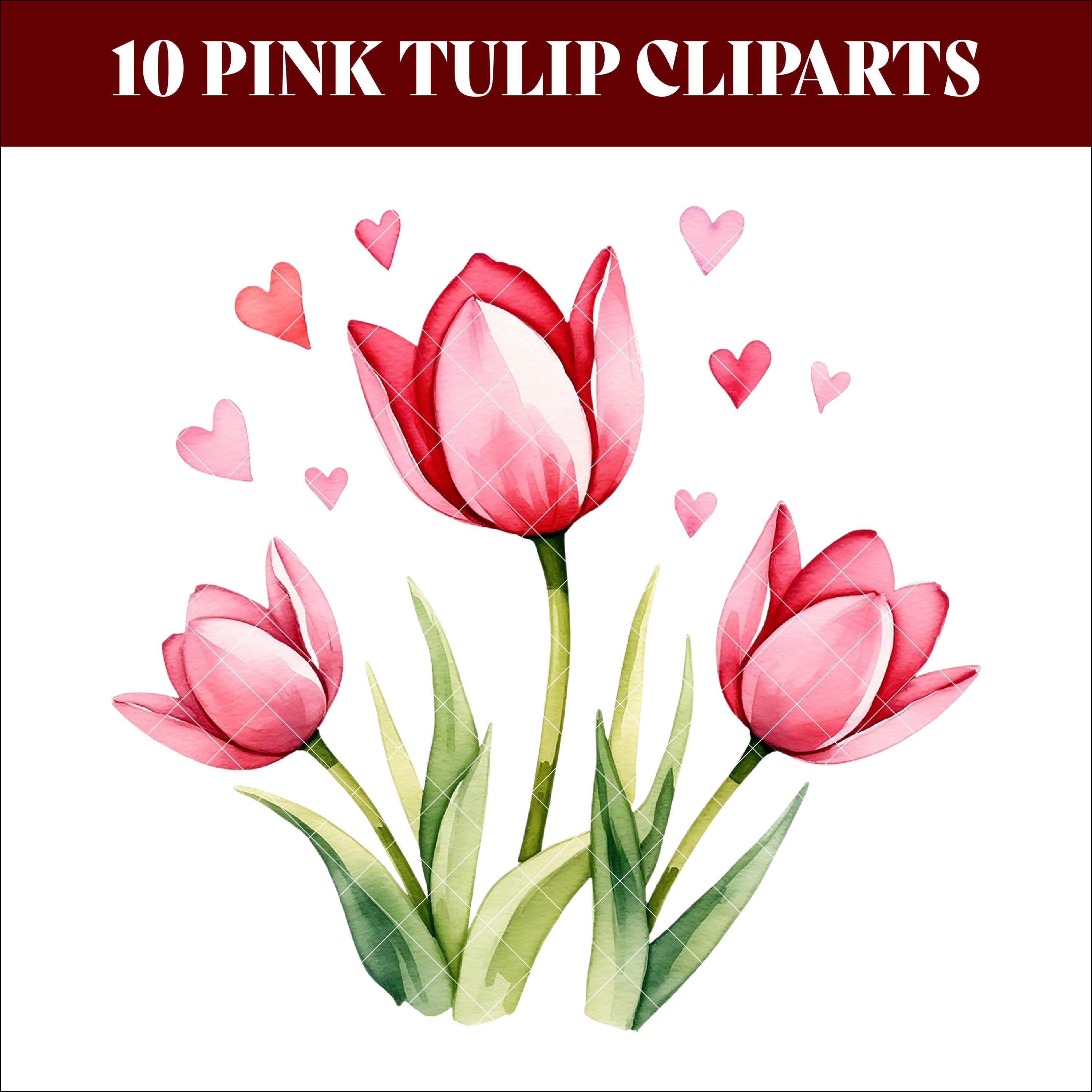 Pink Tulip Clipart PNG, Watercolor Pink Tulips Bundle, Floral Bouquets ...