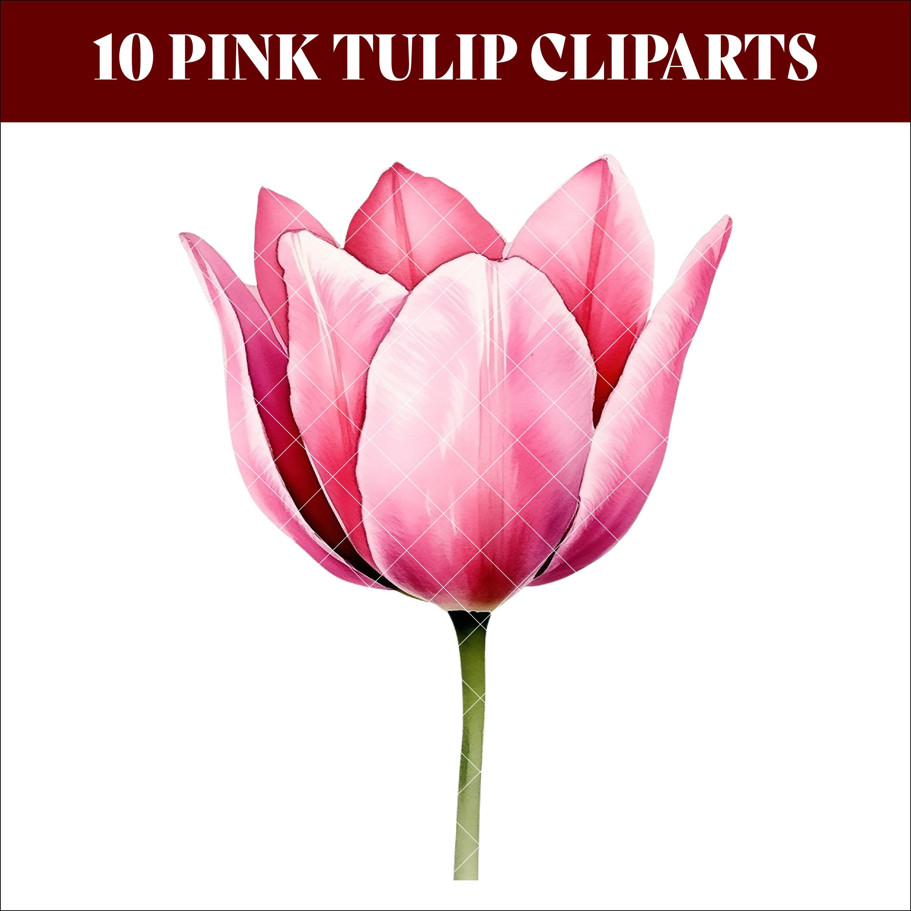 Pink Tulip Clipart PNG, Watercolor Pink Tulips Bundle, Floral Bouquets ...