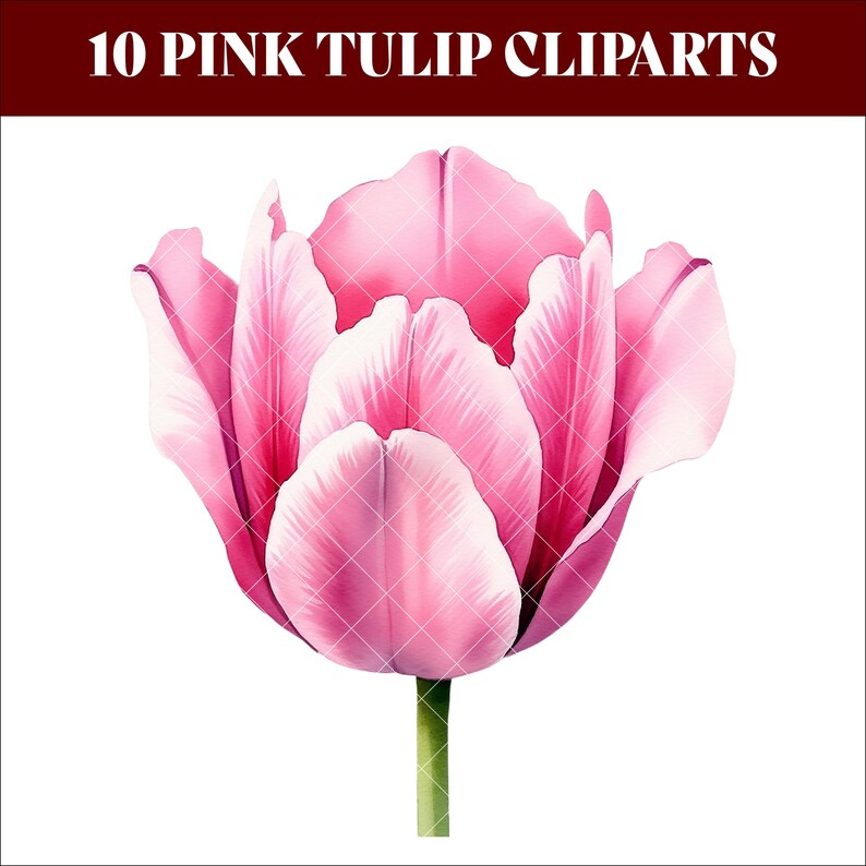 Pink Tulip Clipart PNG, Watercolor Pink Tulips Bundle, Floral Bouquets ...