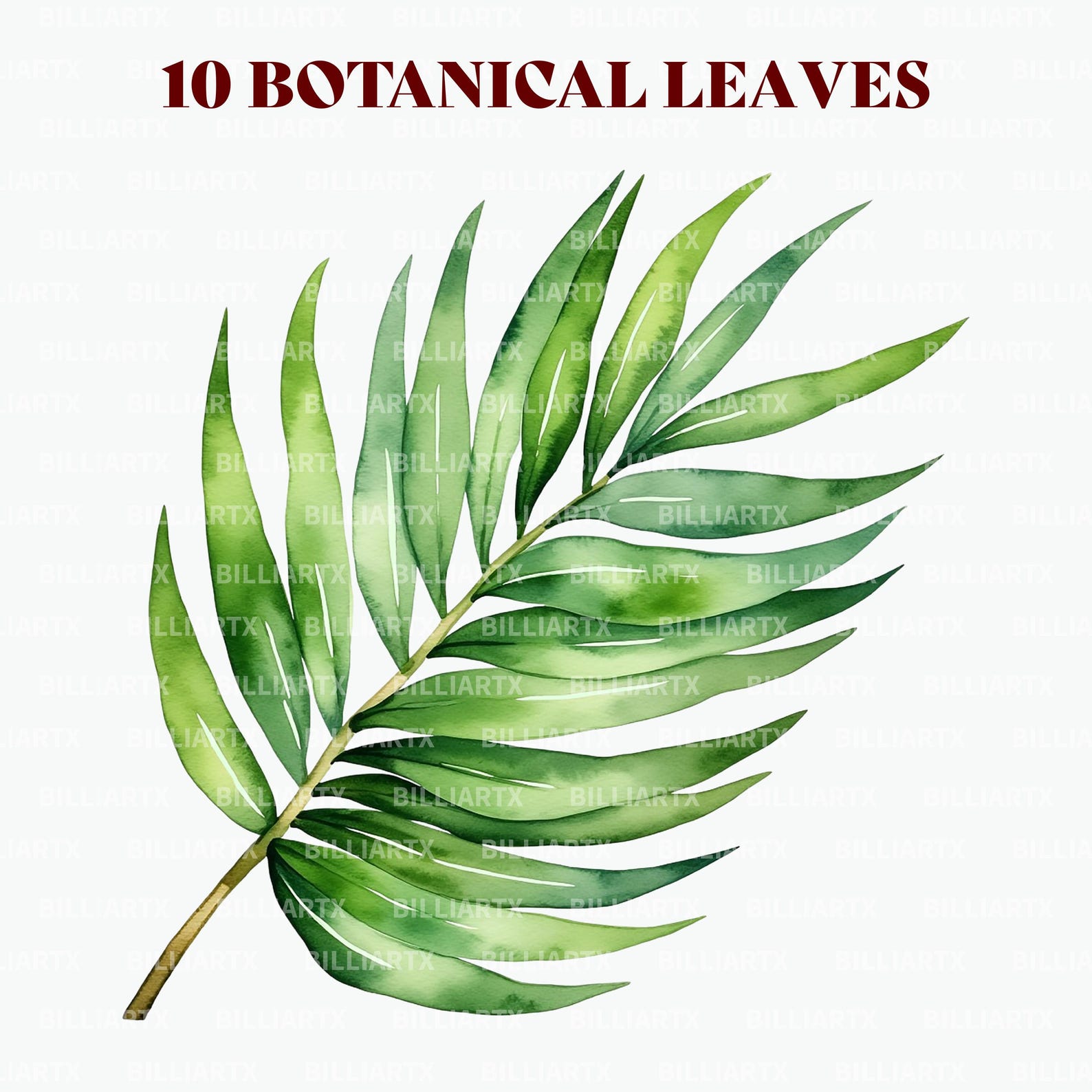 Botanical Leaves Watercolor Clipart PNG, 10 Green Leaf Bundle ...