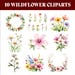 Watercolor Wildflower Clipart Bundle, Rustic Floral PNG Set (digital ...