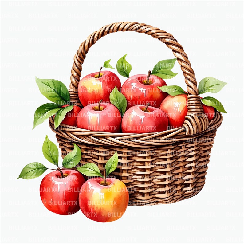 Watercolor Apple Basket Clipart, Rustic Fruit Harvest PNG, Red Apples ...