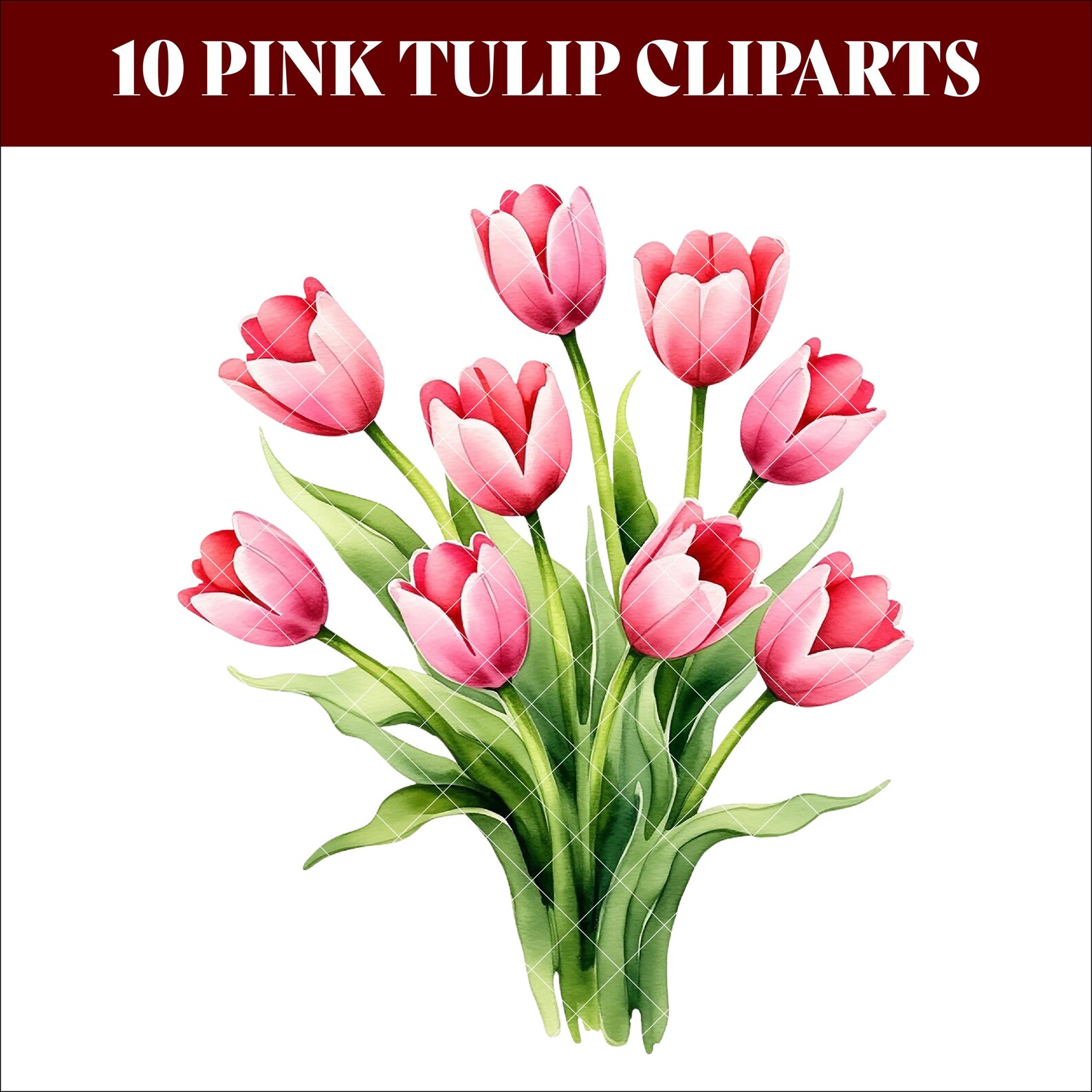 Pink Tulip Clipart PNG, Watercolor Pink Tulips Bundle, Floral Bouquets ...