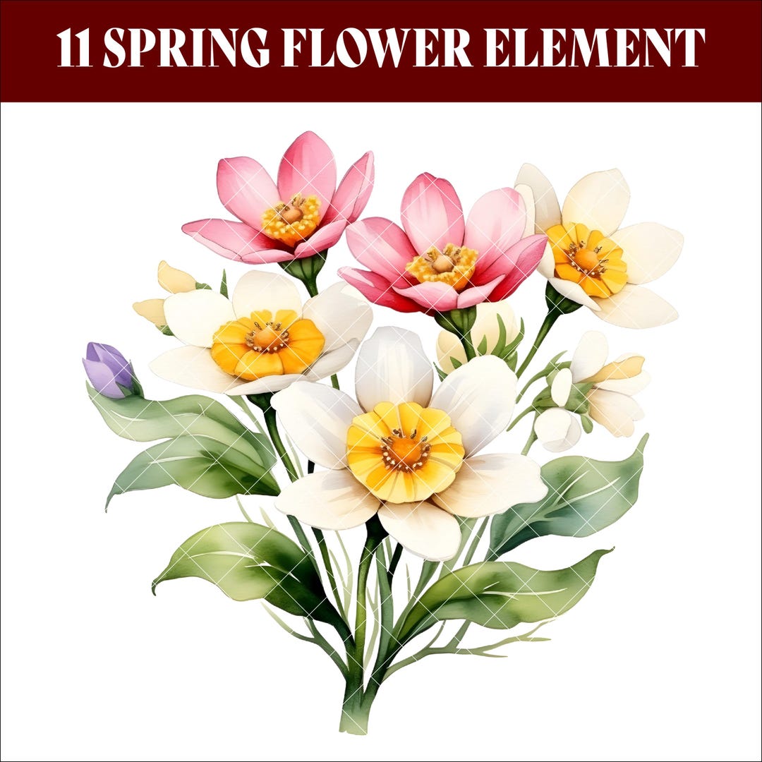 Spring Flower Elements Clipart PNG JPG, Watercolor Floral Elements ...