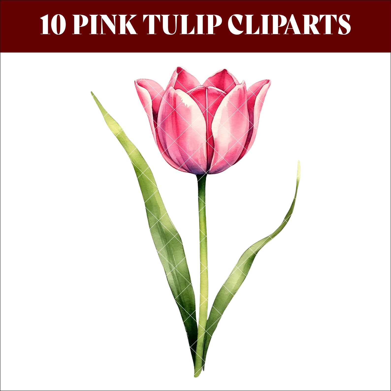 Pink Tulip Clipart PNG, Watercolor Pink Tulips Bundle, Floral Bouquets ...