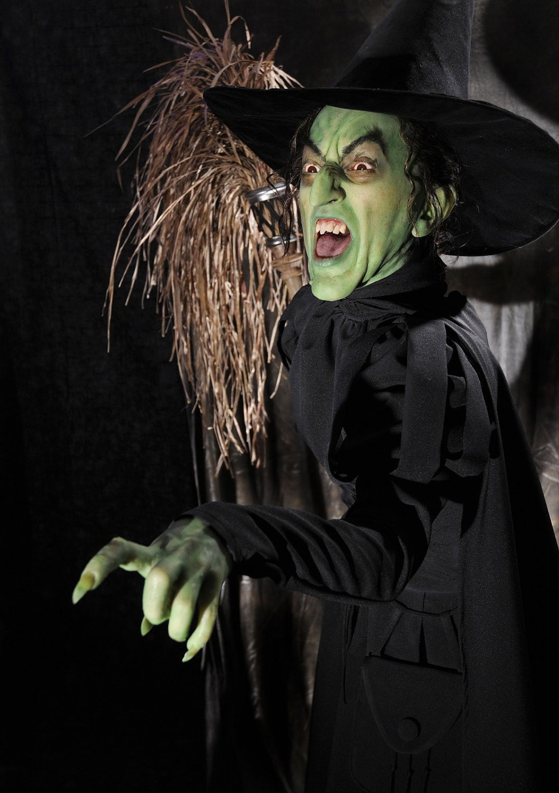 Wicked Witch Of The West Custom Costume Etsy