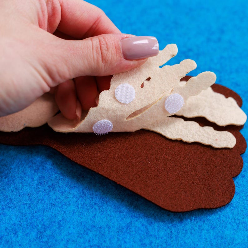 Human Body Felt Wall Board, Felt Story Board for Kids, Human Anatomy ...