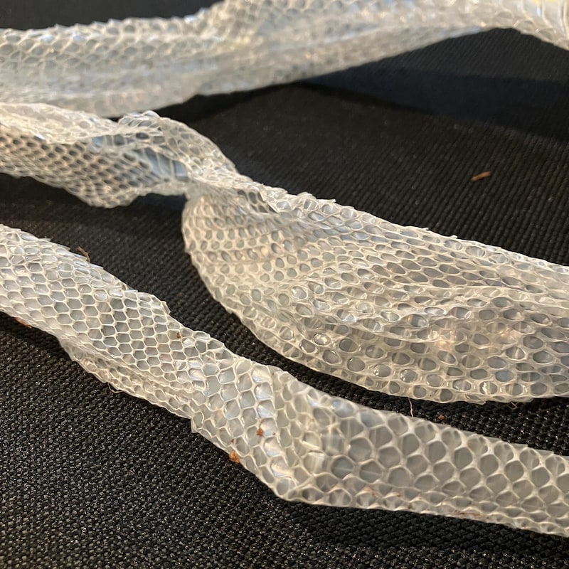 Snake Sheds - Etsy