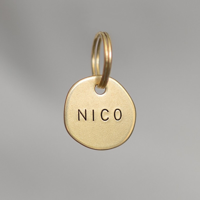 Star Name Tag for Small Dog - Etsy