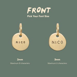 NICO Small: Luxury Hand Stamped Personalized Custom Pet ID Tags for ...