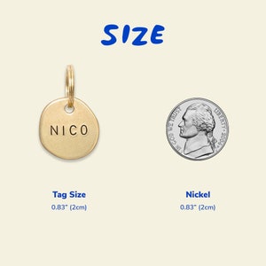 NICO Small: Luxury Hand Stamped Personalized Custom Pet ID Tags for ...