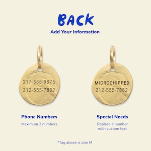 ROCCO: Hand Stamped Personalized Custom Pet ID Tags for Dogs and Cats ...