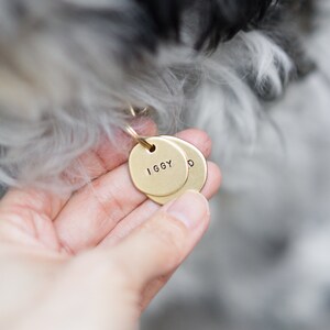 Essential Tag Duo: Two Luxury Hand Stamped Personalized Custom Pet ID ...