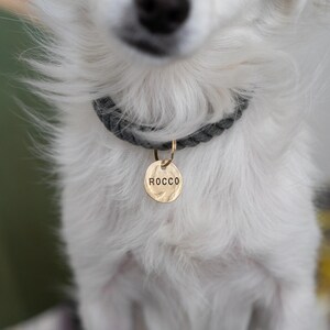 ROCCO Small: Hand Stamped Personalized Custom Pet ID Tags for Dogs and ...