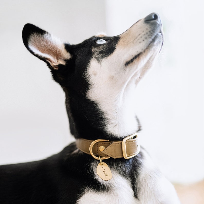 LINUS: Hand Stamped Personalized Custom Pet ID Tags for Dogs | Etsy