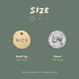 NICO Small: Luxury Hand Stamped Personalized Custom Pet ID Tags for ...
