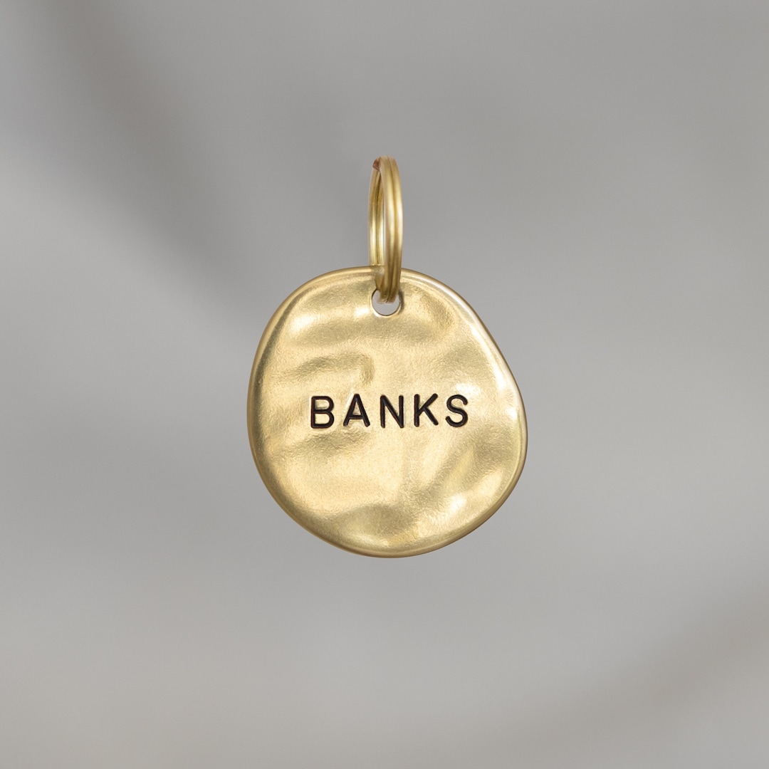 BANKS Large: Luxury Hand Stamped Personalized Custom Pet ID Tags for ...