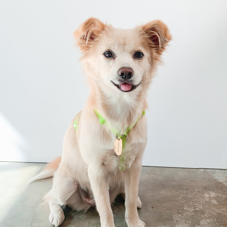 LINUS: Hand Stamped Personalized Custom Pet ID Tags for Dogs | Etsy