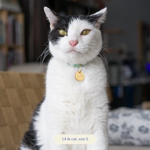 NICO Small: Luxury Hand Stamped Personalized Custom Pet ID Tags for ...