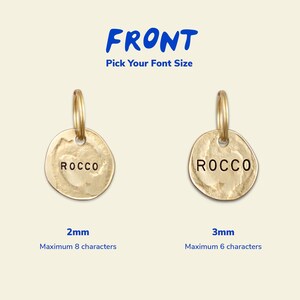 ROCCO Small: Hand Stamped Personalized Custom Pet ID Tags for Dogs and ...