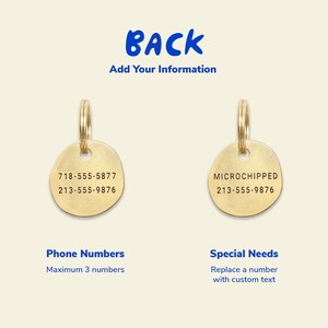 NICO Small: Luxury Hand Stamped Personalized Custom Pet ID Tags for ...