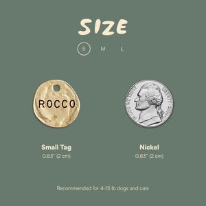 ROCCO Small: Hand Stamped Personalized Custom Pet ID Tags for Dogs and ...