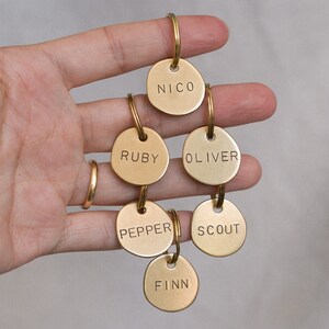 NICO Small: Luxury Hand Stamped Personalized Custom Pet ID Tags for ...