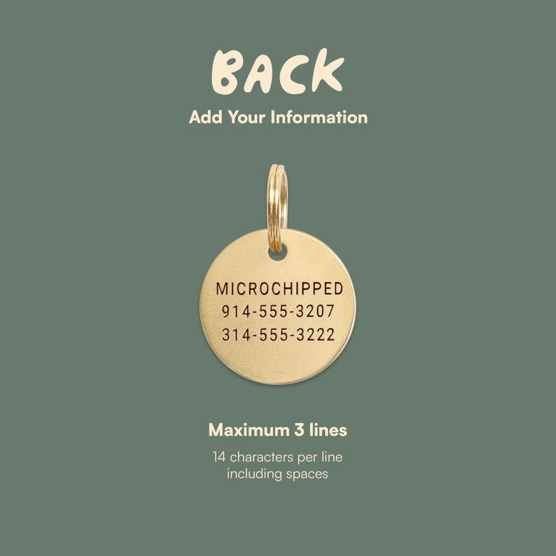 Olive: Hand Stamped Personalized Custom Pet ID Tags for Dogs and Cats ...