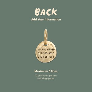 ROCCO Small: Hand Stamped Personalized Custom Pet ID Tags for Dogs and ...