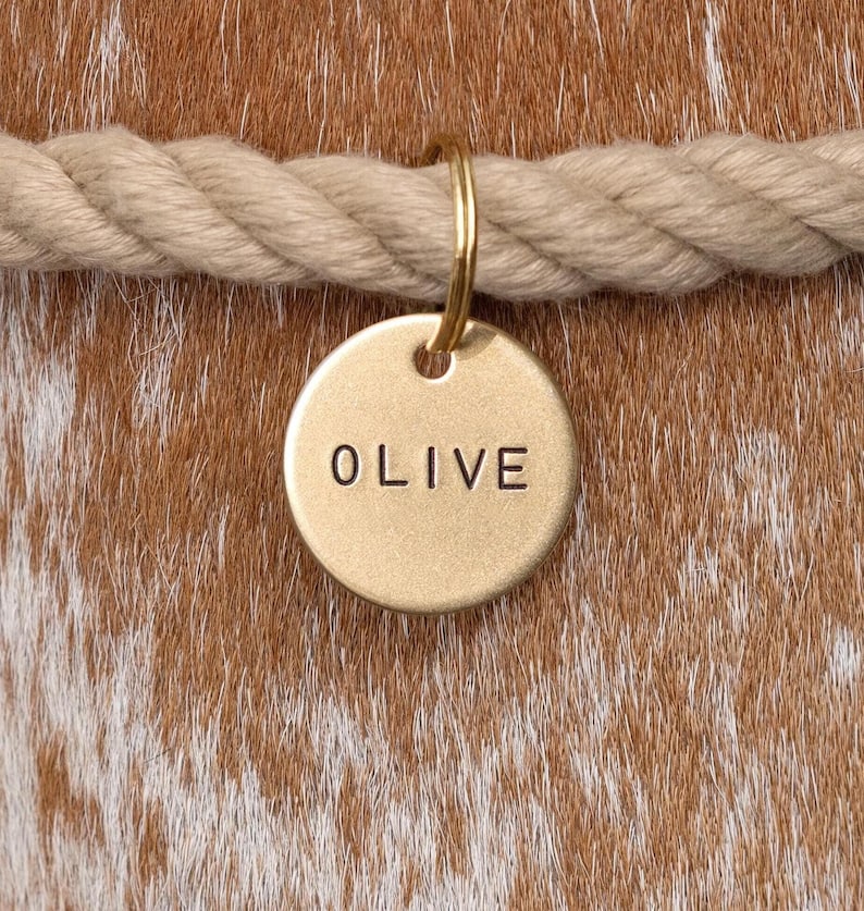 Olive: Hand Stamped Personalized Custom Pet ID Tags for Dogs and Cats ...