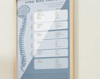 Common Effects of Spinal Subluxation Chiropractic Poster Handout Digital Download Printable Wall ...