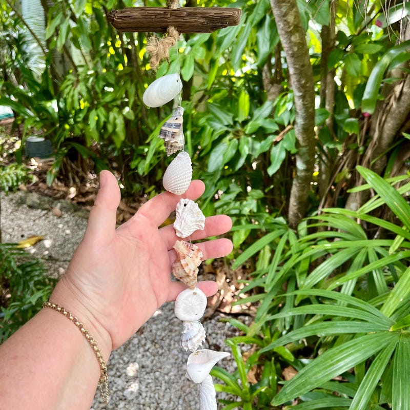 Sea Shell Wind Chime - Etsy