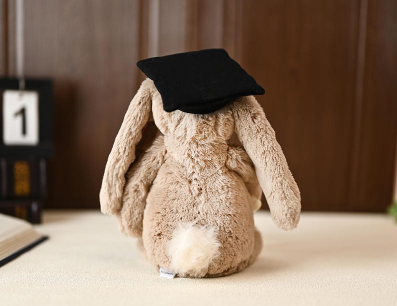 Class of 2026 Graduation Bunny, Personalized Embroidered Plush Rabbit ...