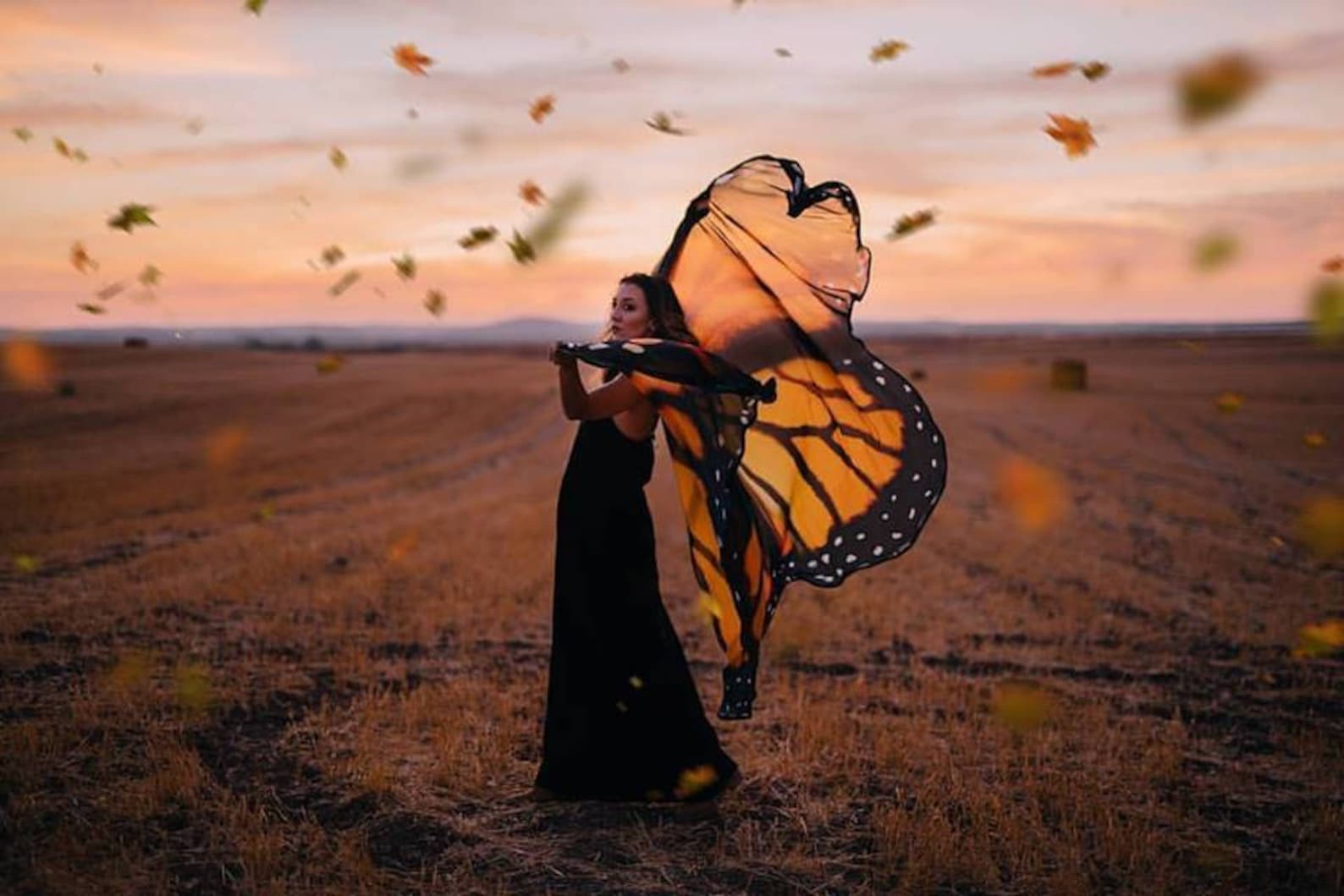 Butterfly Wings Monarch Cape Costume Adult Fairy Wings Chiffon - Etsy ...